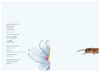 taller de insectos inicial2908563622.pdf