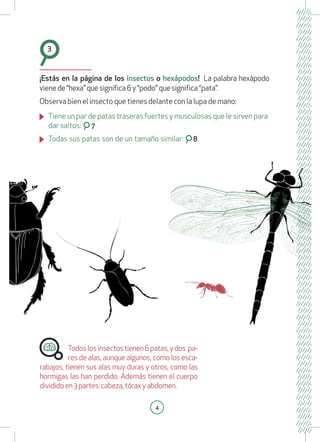 taller de insectos inicial2908563622.pdf
