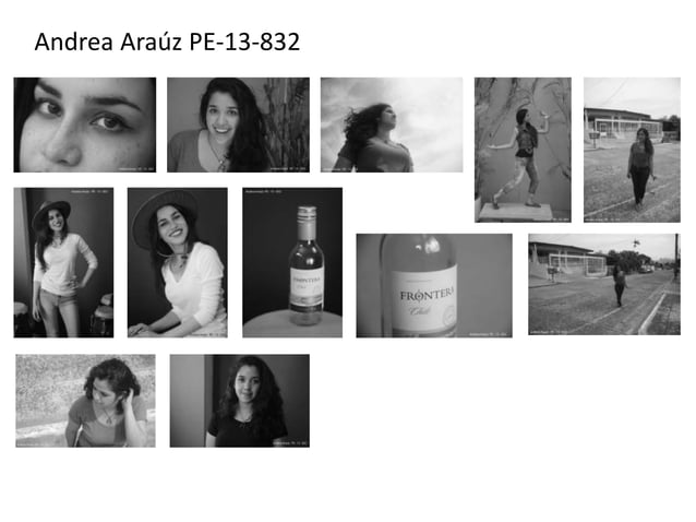 Taller 1 - hoja de contacto | PPTX