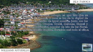 ISLA TABOGA | PPT