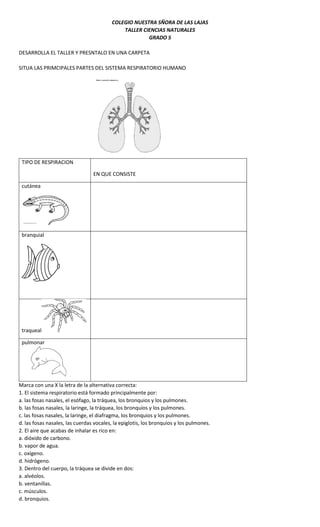 Hoja De Trabajo Del Sistema Respiratorio Con Banco De Palabras