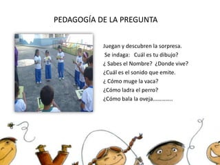 Taller 4 parear | PPTX