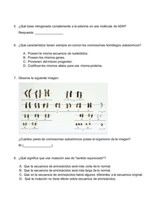 Taller adn | DOCX