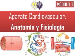 Taller Aparato Cardiovascular y EKG Básico - MOD 1 - CJPL | PDF