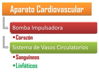 Taller Aparato Cardiovascular y EKG Básico - MOD 1 - CJPL | PDF