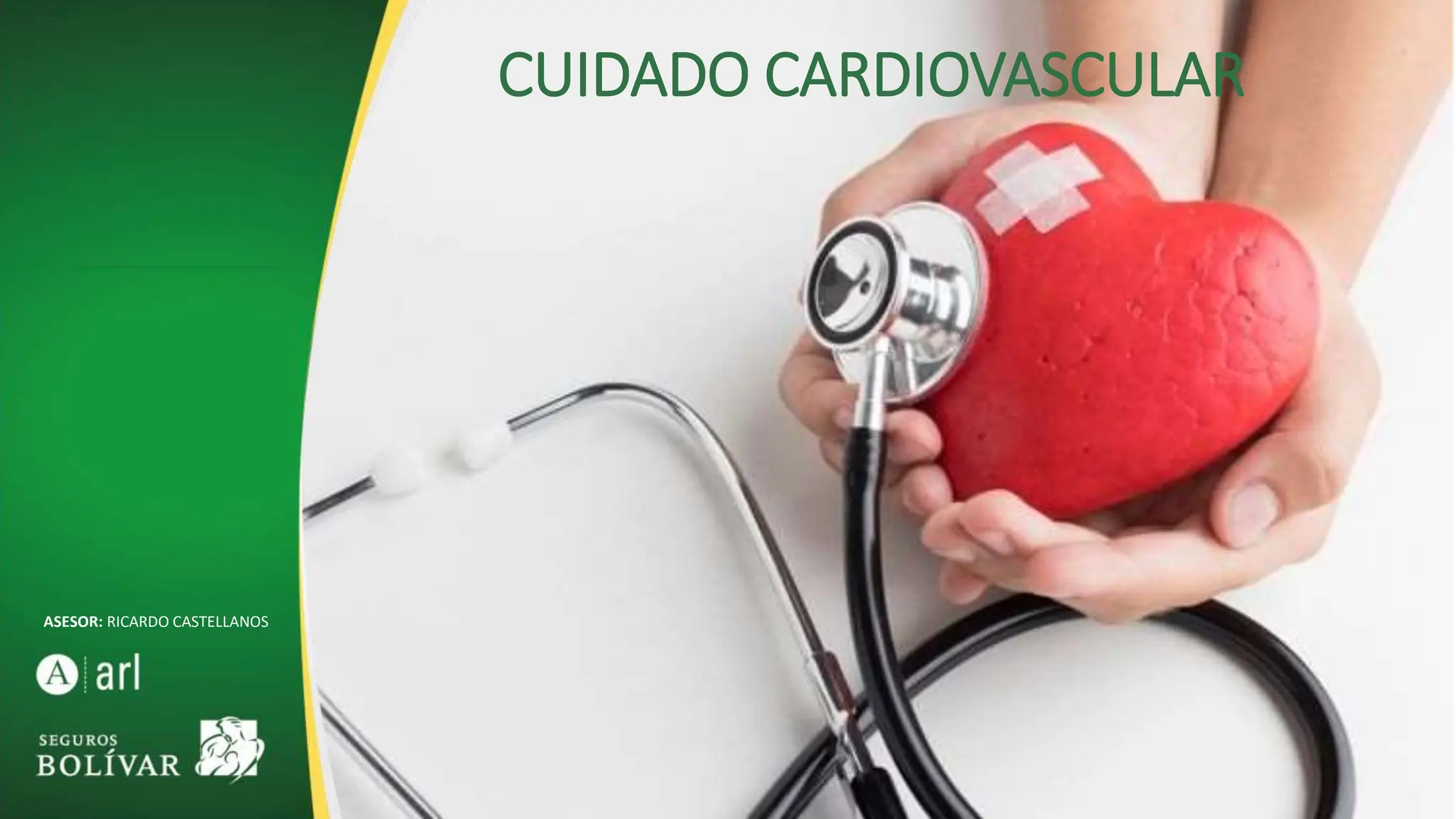 Taller cardiovascular y enfermedades .pptx
