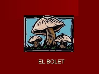 Taller de lectura: Fer inferències | PPT