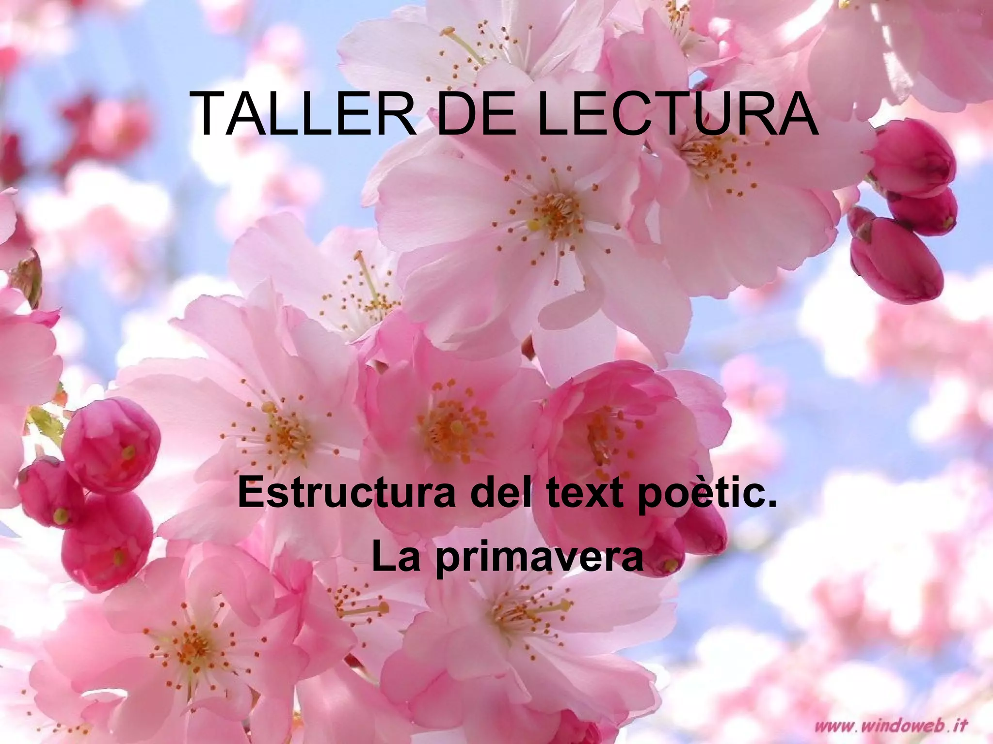 Taller de lectura. Estructura text poètic. PRIMAVERA | PPT