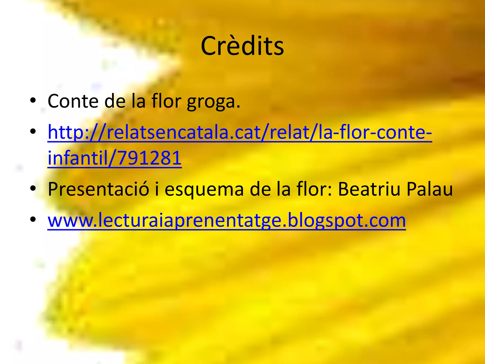 Taller de lectura. Fer un resum d'un conte | PPTX