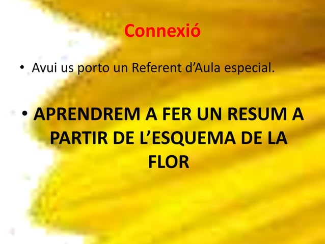 Taller de lectura. Fer un resum d'un conte | PPTX