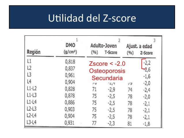 Taller densitometría ósea
