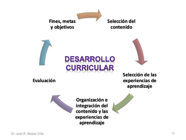 desarrollo de curriculum