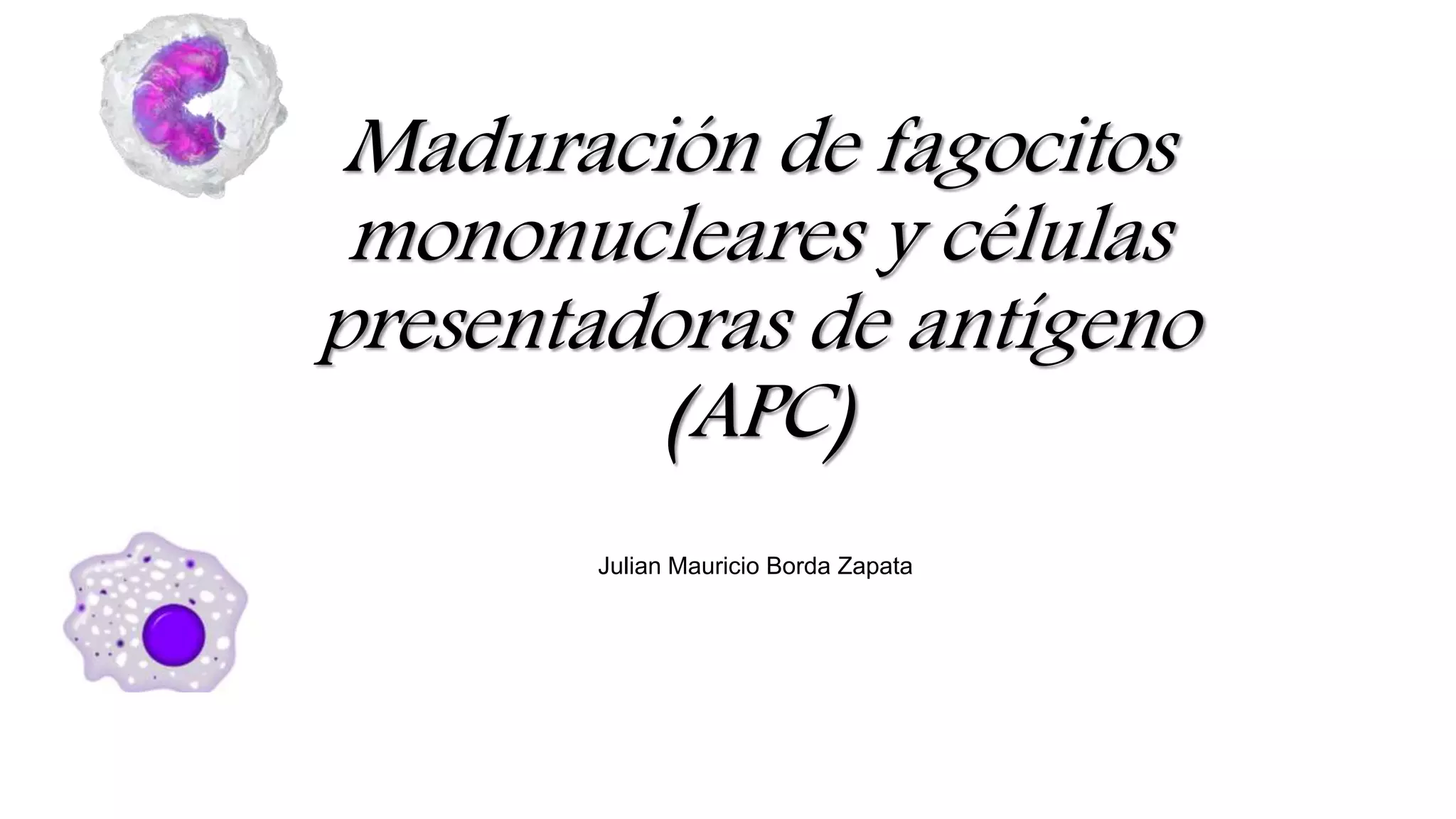 FAGOCÍTOS Y CÉLULAS PRESENTADORAS DE ANTÍGENO | PPTX