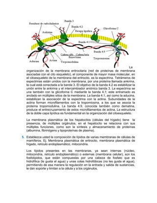 Taller intercambio de sustancias | DOC