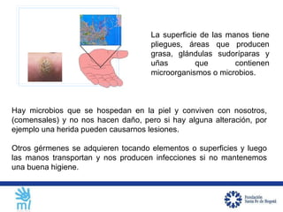 Taller Lavado Manos | PPT