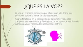 Taller la voz como herramienta docente universidad | PPTX