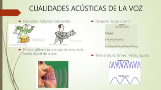 Taller la voz como herramienta docente universidad | PPTX