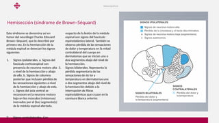 Taller Medula Espinal UNIVERSIDAD CATÓLICA SANTIAGO DE GUAYAQUIL.pptx
