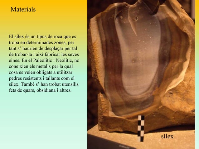 prehistòria: etapes, hominització, paleolític, neolític i metalls | PPTX