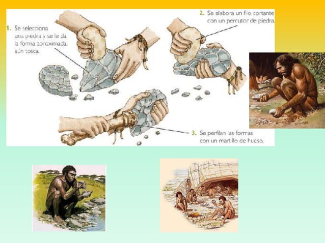 prehistòria: etapes, hominització, paleolític, neolític i metalls | PPTX