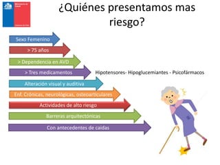 Taller Prevención De Caídas En El Adulto Mayor Pptx