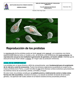 Taller reino protista sexto | PDF