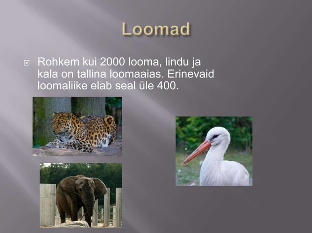 Tallinna loomaaed | PPTX