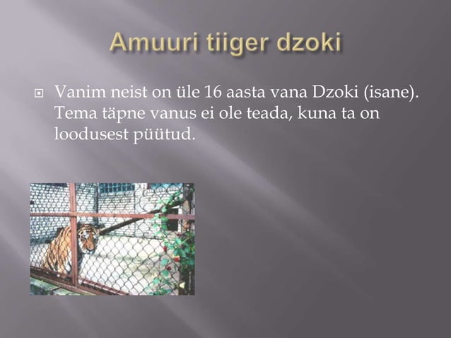 Tallinna loomaaed | PPT