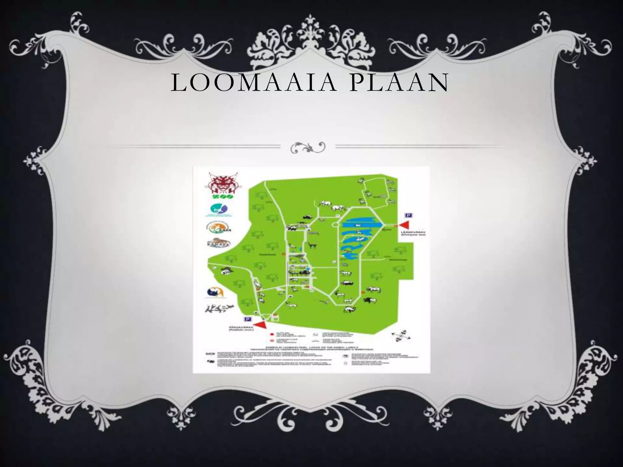 Tallinna loomaaed | PPTX