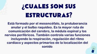 TRONCO CEREBRAL O TALLO ENCEFALICO . | PDF