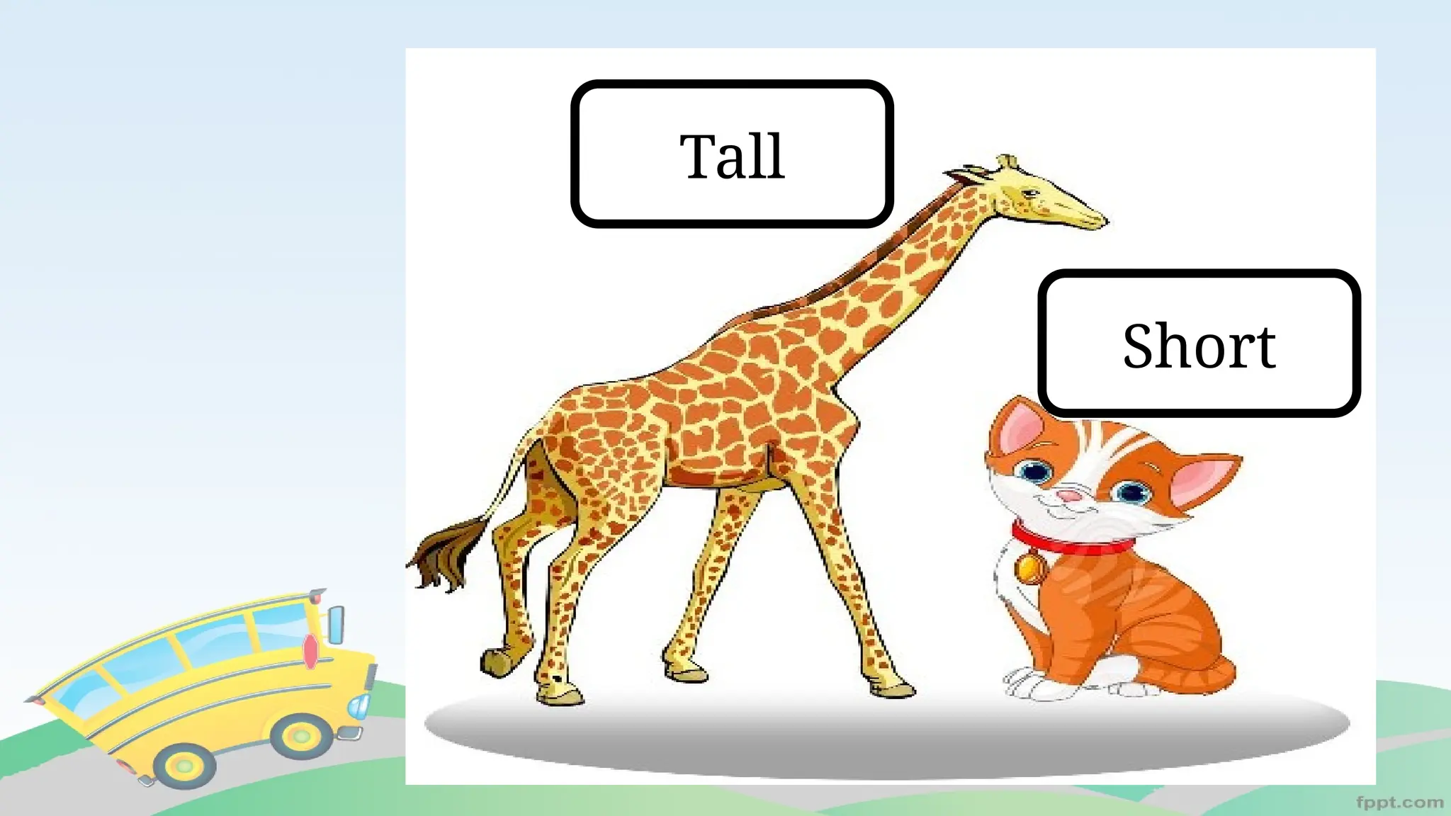 Junior Nursery Lesson all about Tall and short objects | PPTX