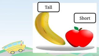 Junior Nursery Lesson all about Tall and short objects | PPTX
