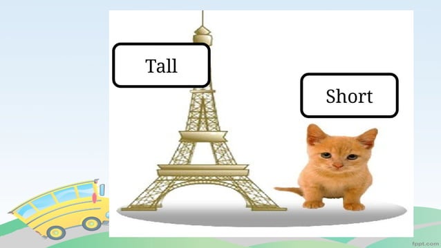 Junior Nursery Lesson all about Tall and short objects | PPTX