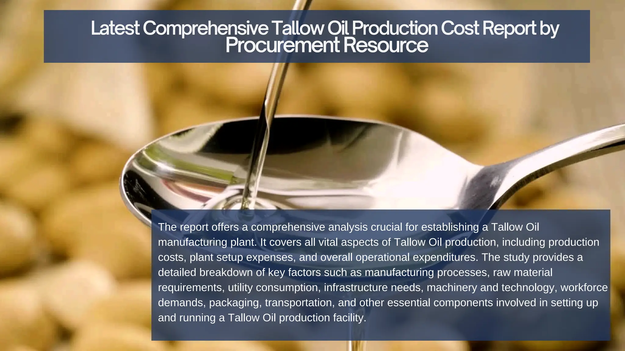 Tallow Oil Production Cost Report Analysis | PDF