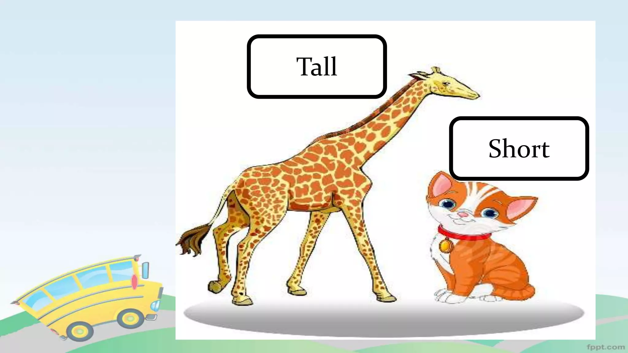 Tall or Short Preschool | PPTX