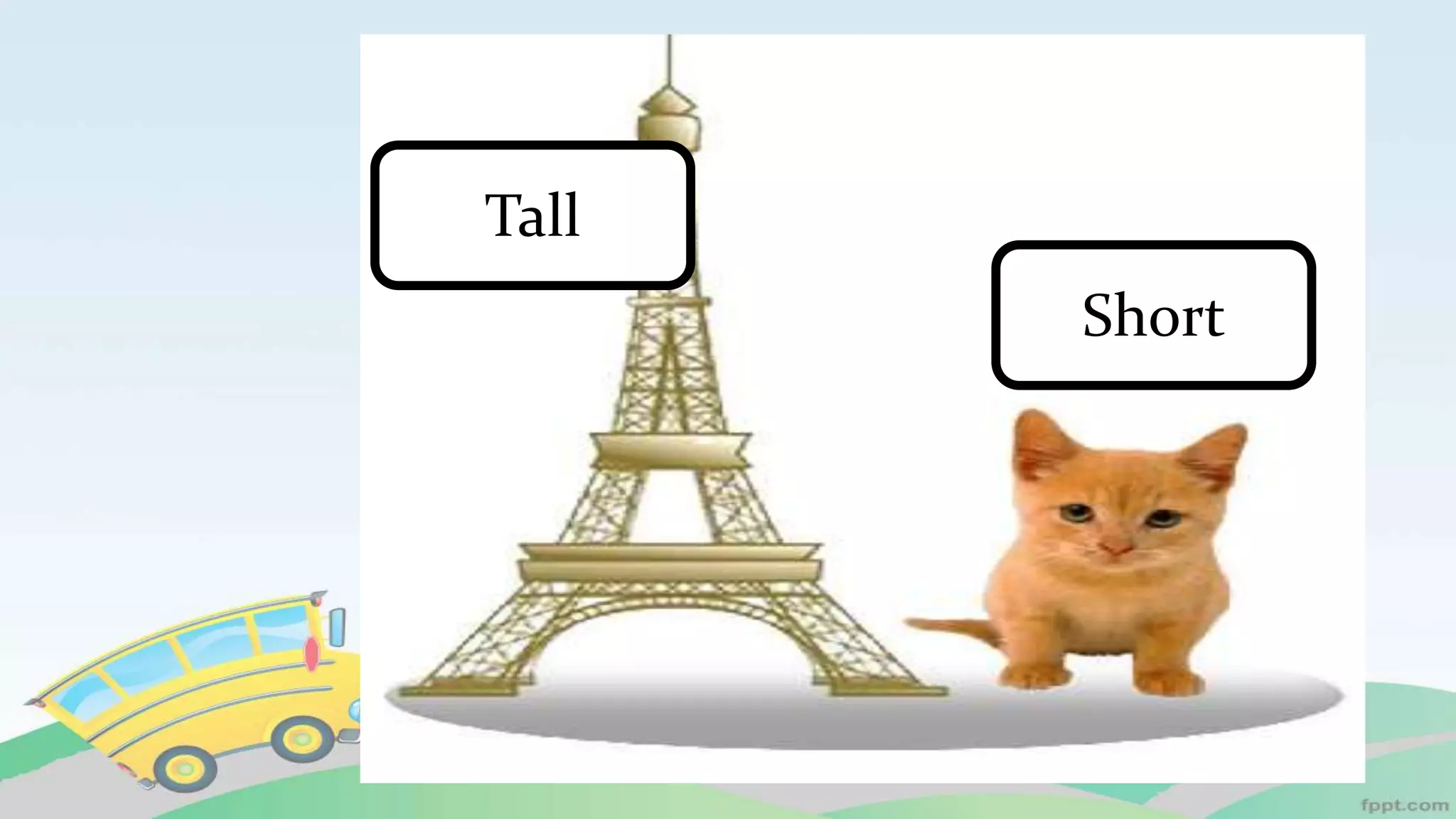 Tall or Short Preschool | PPTX