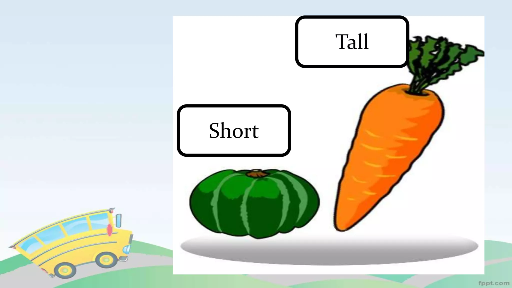 Tall or Short Preschool | PPTX