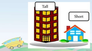 Tall And Short Clipart
