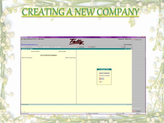 TALLY.pptx for Beginners to study about the basics | PPTX