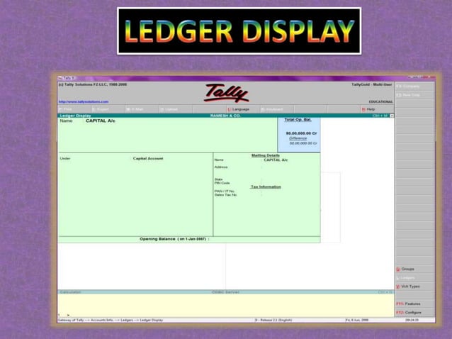 TALLY.pptx for Beginners to study about the basics | PPTX