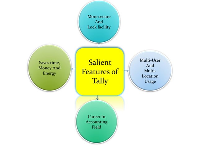 tally software detailed presentation .pdf | Credit Cards | Personal Debt