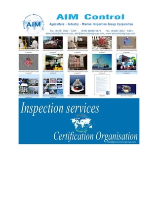 tally survey | DOCX | Logistics | Business