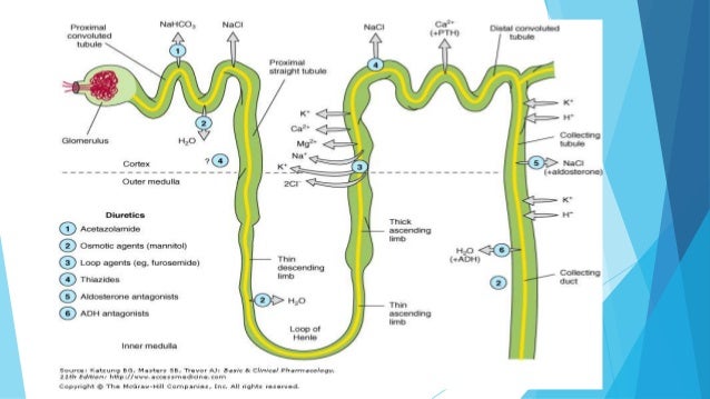 Potassium - sparing diuretics