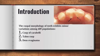 treatment of talon cusp in children | PPTX