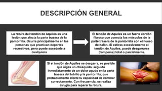 TALON DE AQUILES LISTO EXPONER.pptx