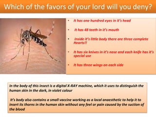 Talqin (the reminder)-Islamic funeral | PPTX