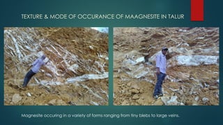 Talur technical report | PPT