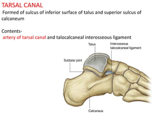 Talus body fracture management | PPT