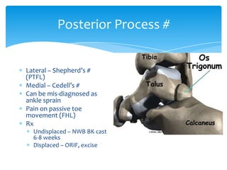 Talus anatomy, blood supply & fractures | PPTX