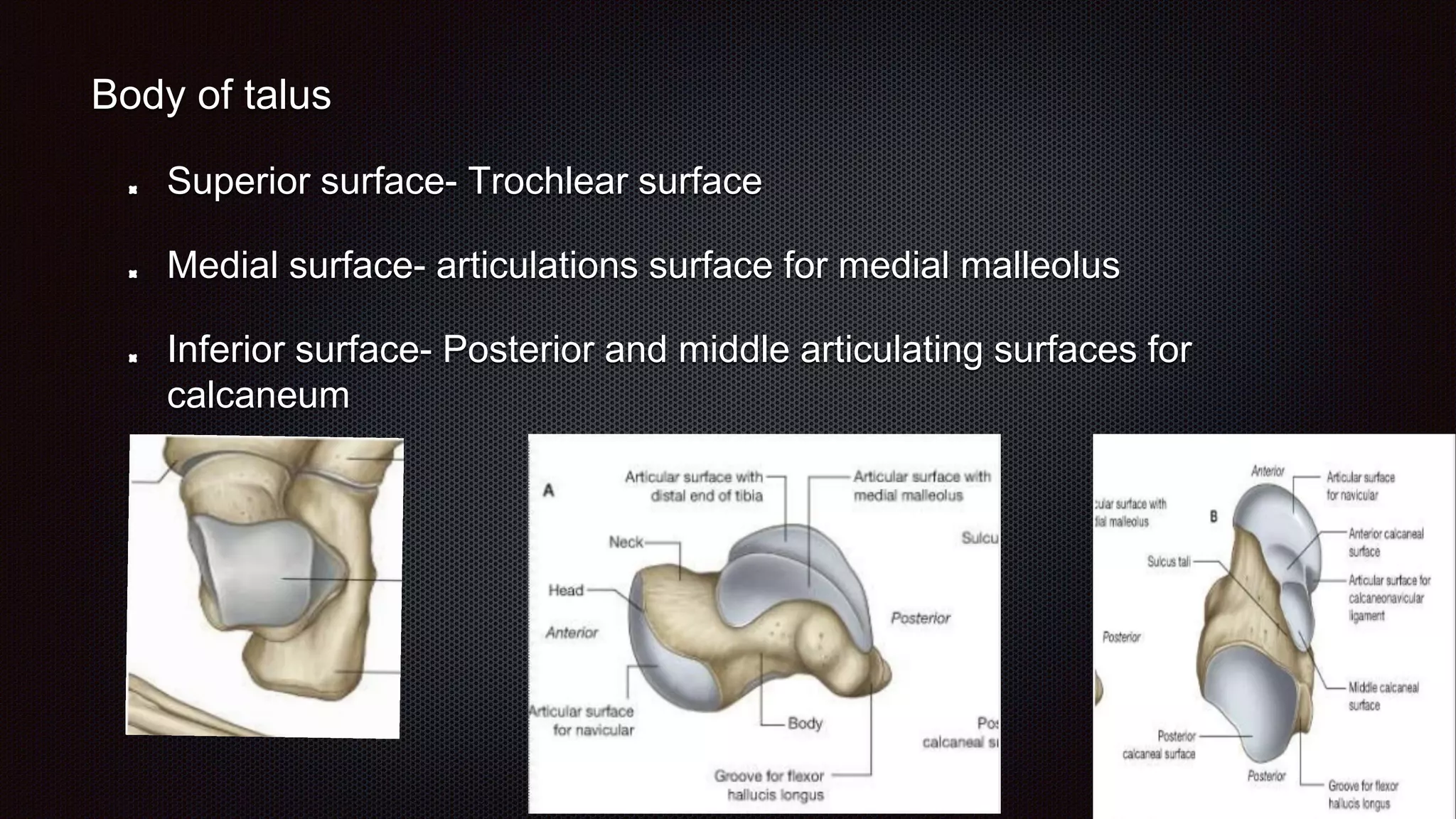 Talus fractures and mx | PPTX